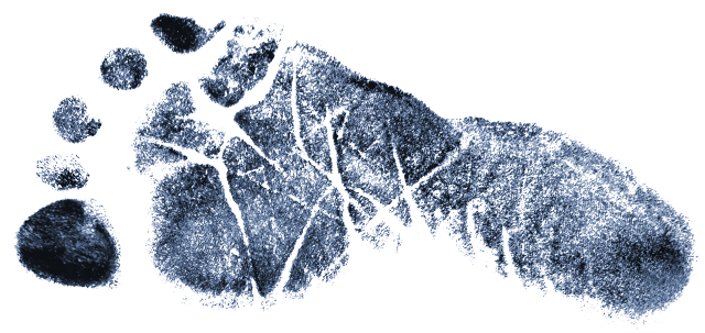 What is carbon footprint? - SSAB